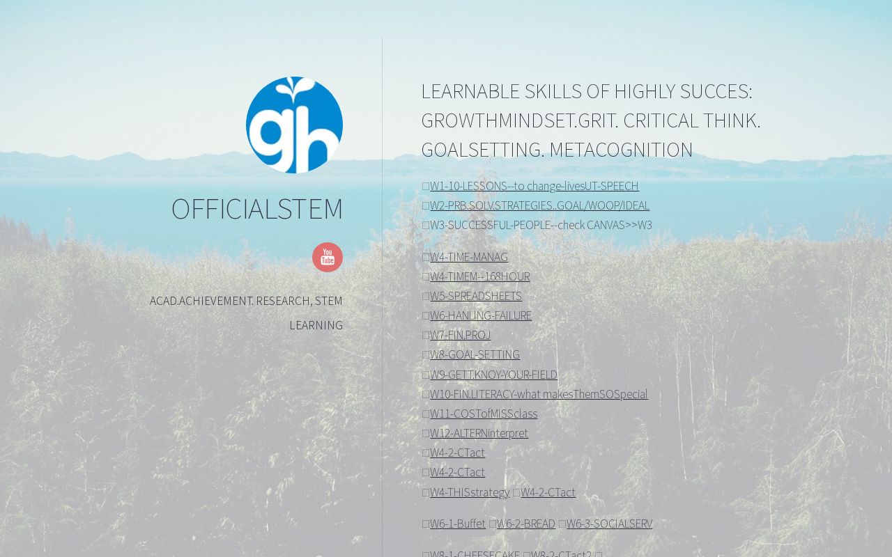 LEARNABLE SKILLS OF HIGHLY SUCCESS